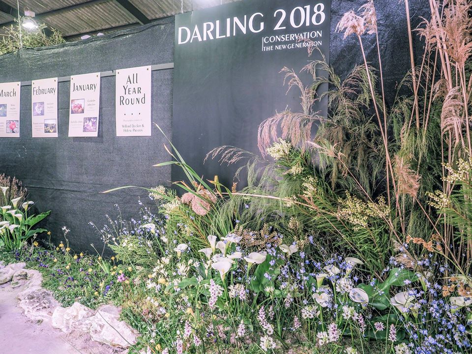 2022 Darling Wildflower Show Weekend – Darling Wildflower Society