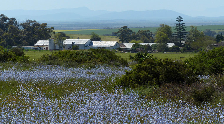 Wildflower Reserves – Waylands – Darling Wildflower Society